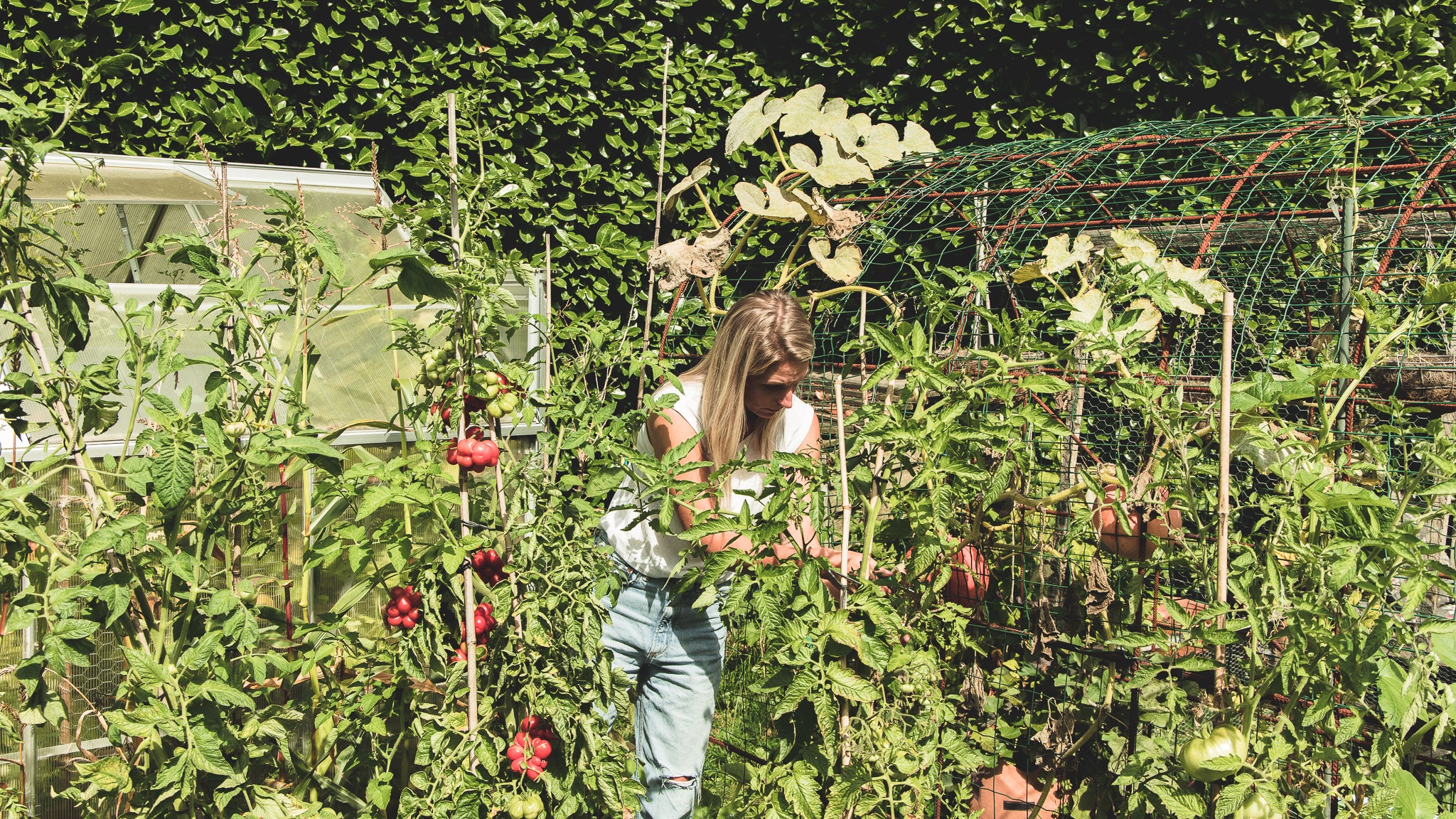 Je eigen moestuin te beginnen, de eerste stappen! – Feggies